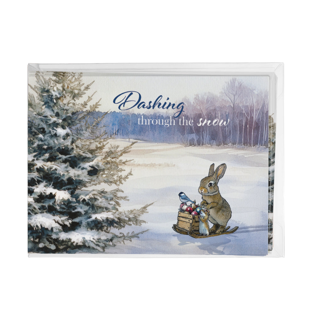 Dashing Through Snow Holiday Box 16 Pack – Tree-Free Greetings