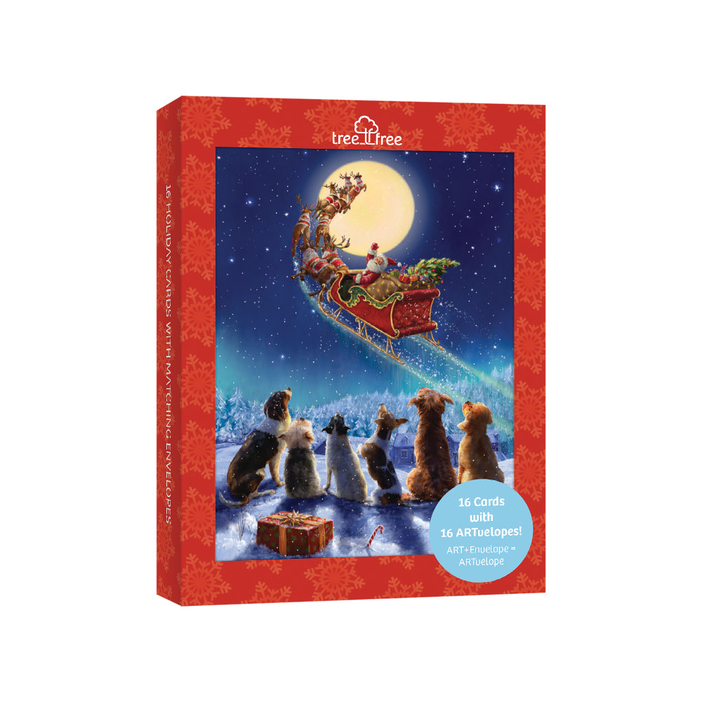 Dog Magic Holiday Box 16 Pack – Tree-Free Greetings