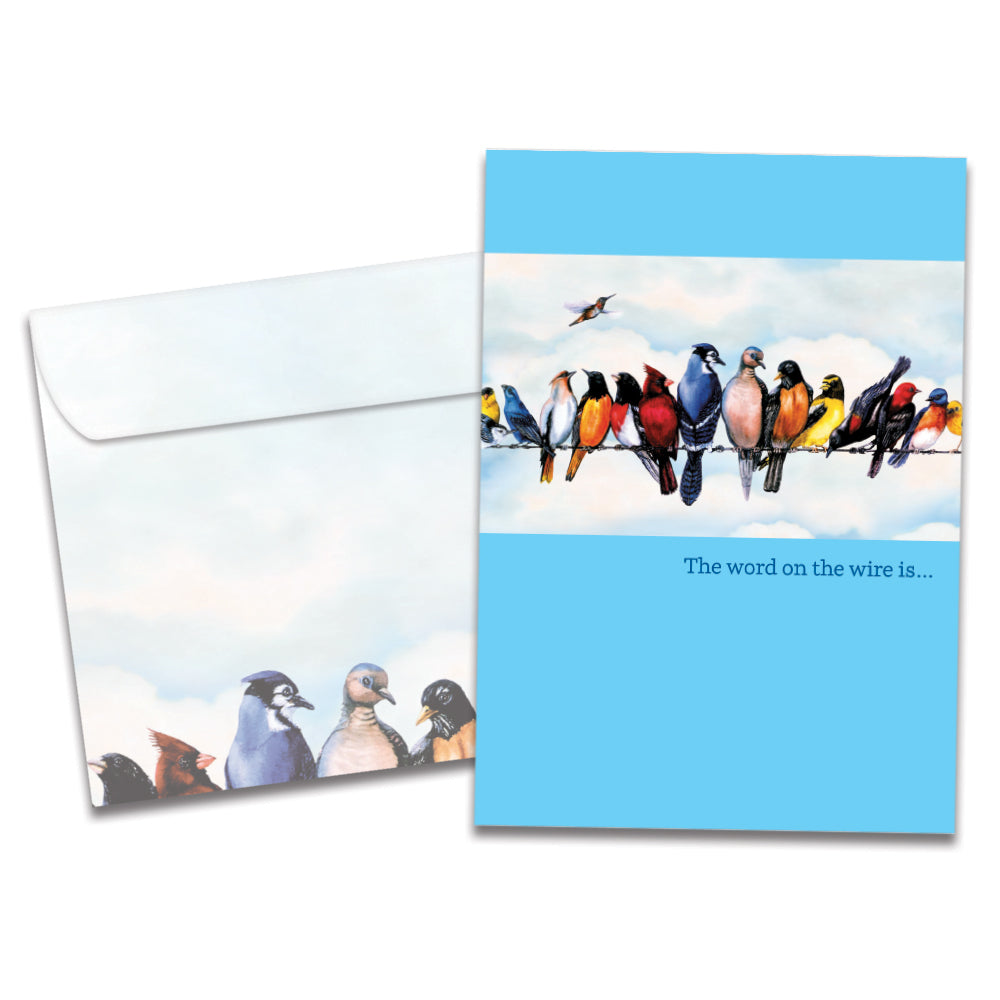 Word On The Wire Congratulations Greeting Card 6 Pack – Tree-Free Greetings