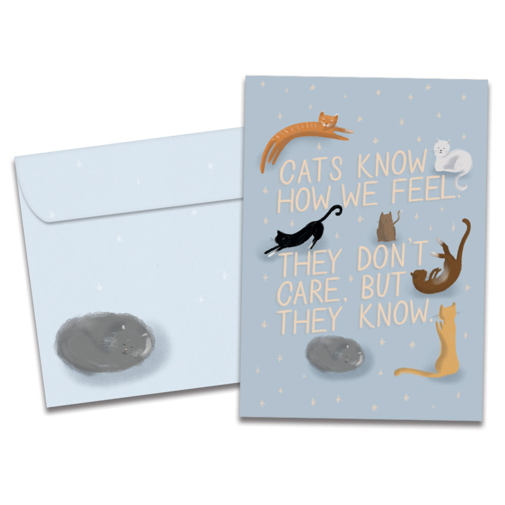 Cats Know Greeting Card – Tree-Free Greetings