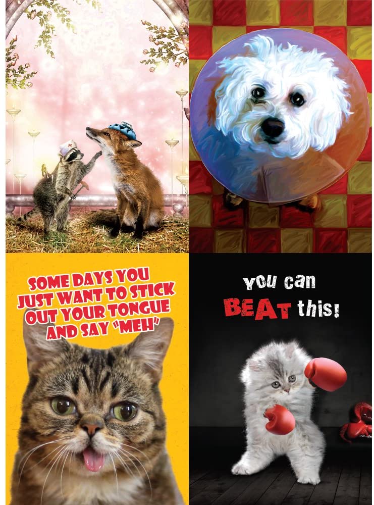 Funny Animal Get Well Assortment – Tree-Free Greetings